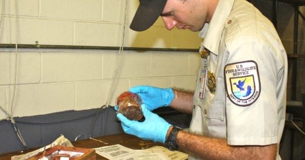 US Postal Inspector - Criminal Justice Degree Hub